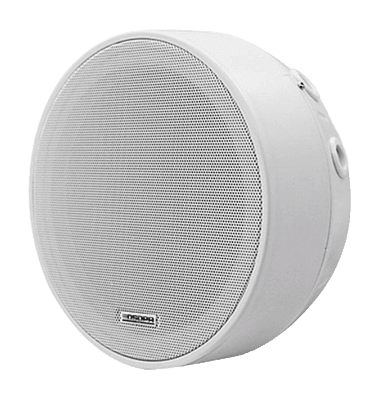 Ceiling Speaker